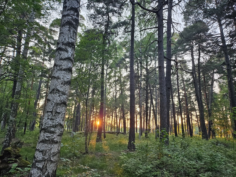 Liza Shulyayeva | First day of summer vacation: summer, sun, and e. coli
